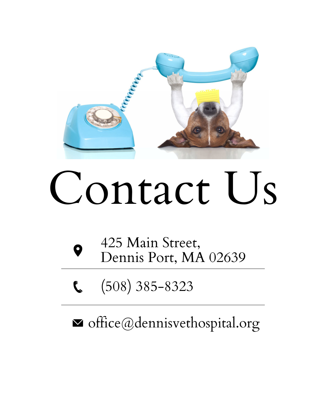 CONTACT US – DENNIS VETERINARY HOSPITAL